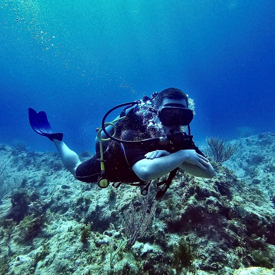 Grégoire Gentile - Online Resume